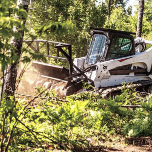 Forest Thinning & Underbrush Removal | Forest City Landworks